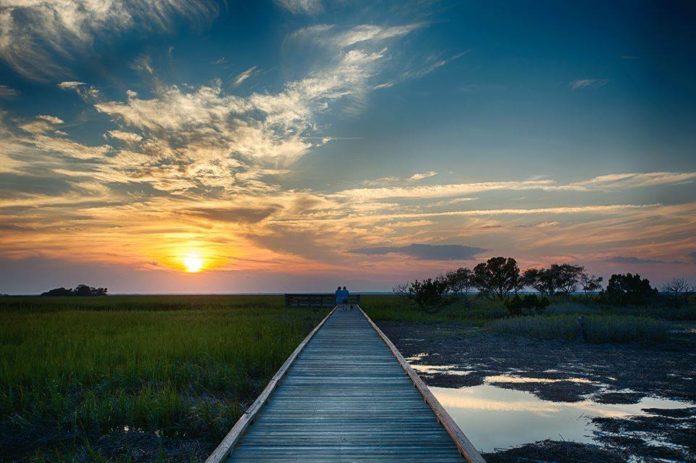 9 must see spots inside Hunting Island State Park - Explore Beaufort SC