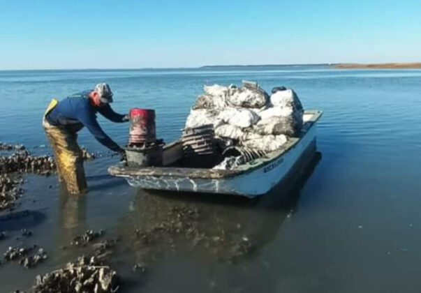 Shellfish harvesting season begins October 1st in S.C. waters - Explore ...